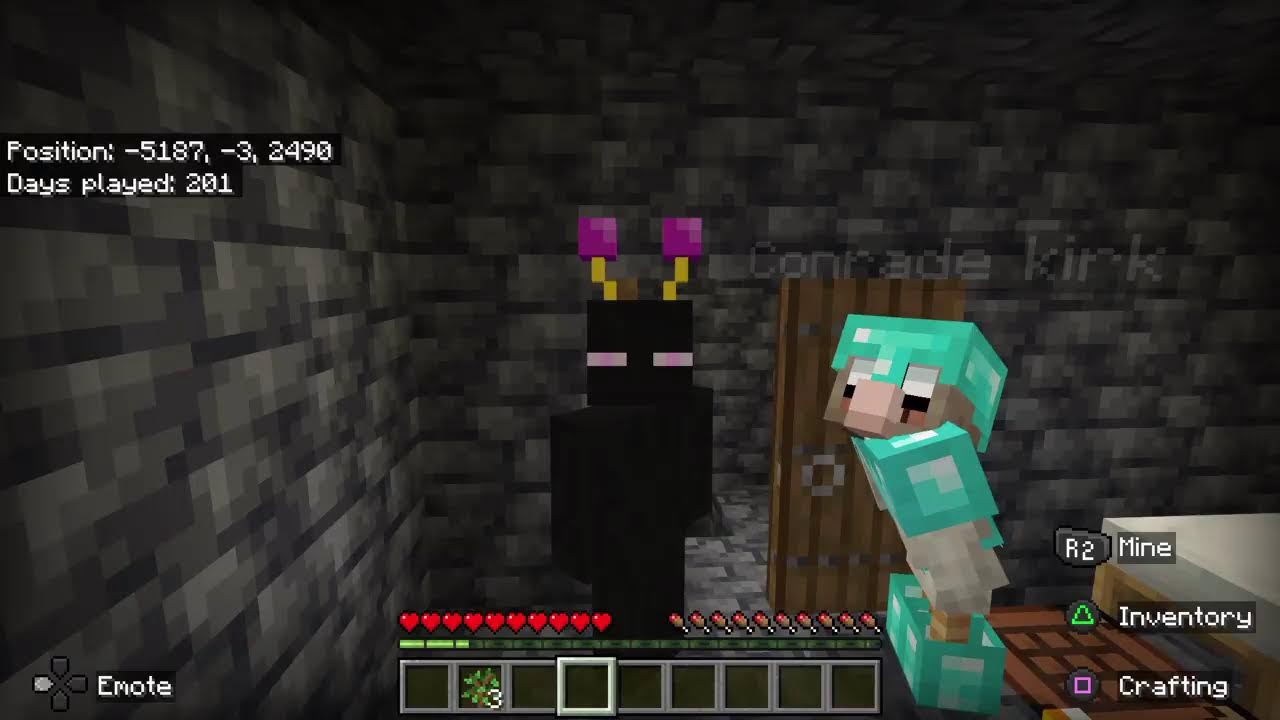 PS4 Minecraft Multiplayer smp trials - YouTube