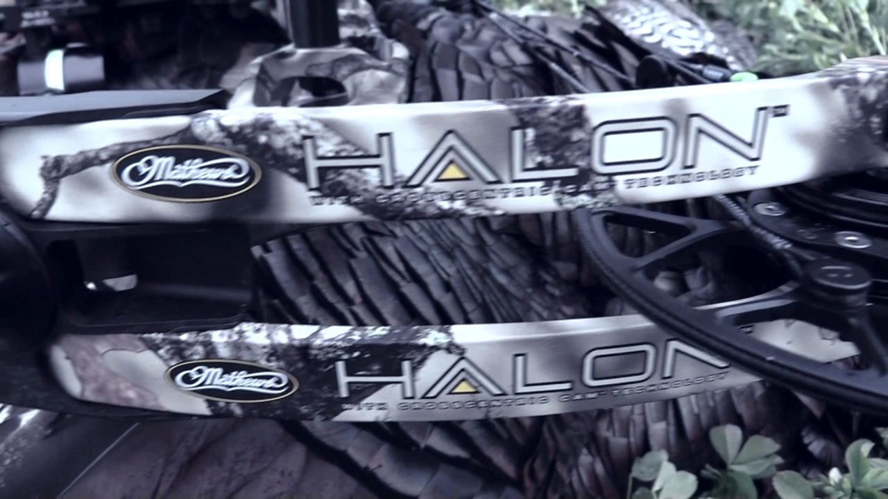 Mathews Halon 6 turkey - YouTube