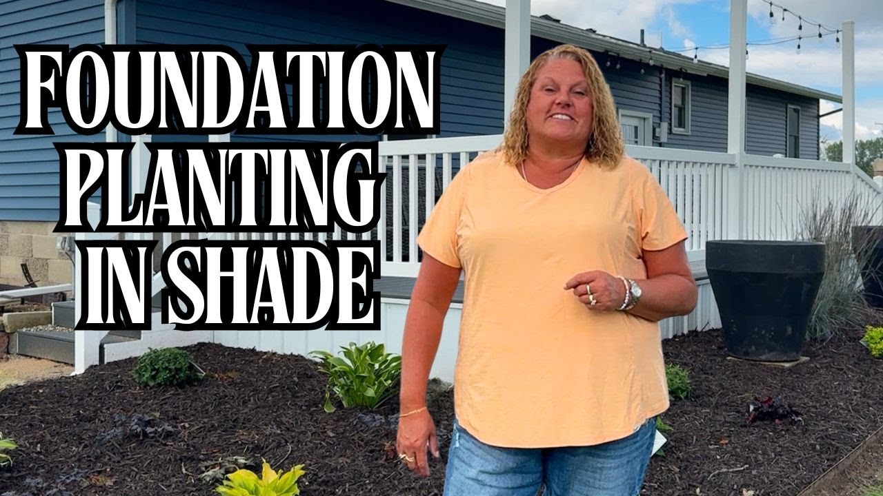 Foundation Planting For Shade Garden - YouTube