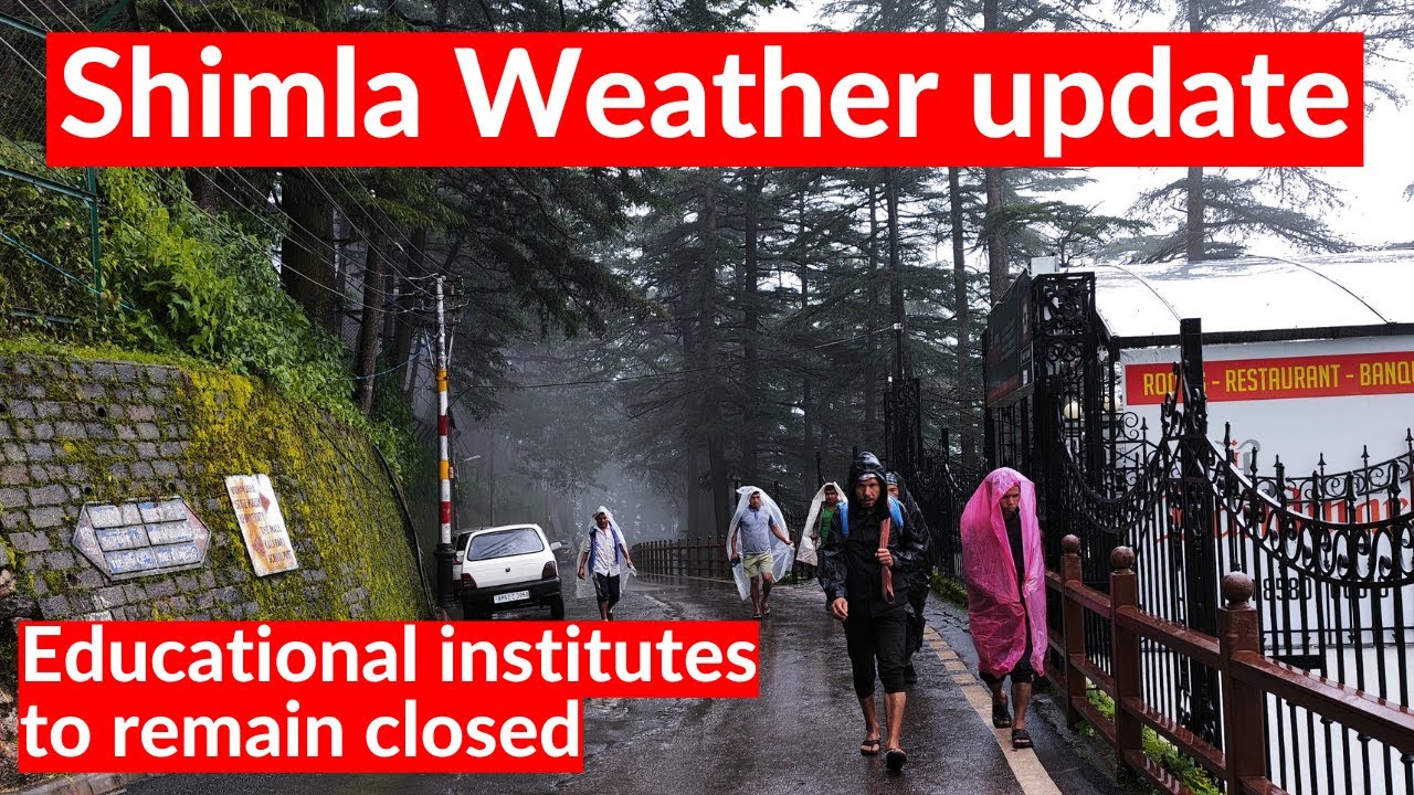 Shimla in Red Alert🤕 | Weather Shimla | Heavy rainfall in Himachal ⛈️ ...