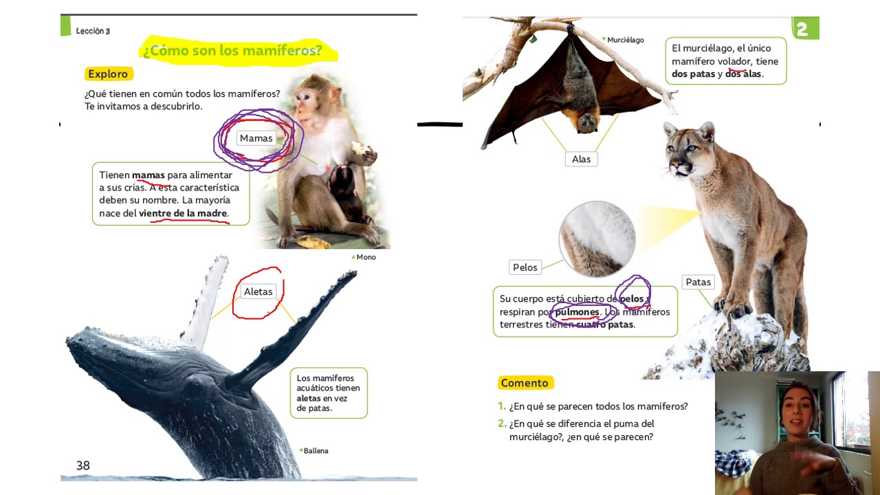 CIENCIAS - Describir características principales de animales ...