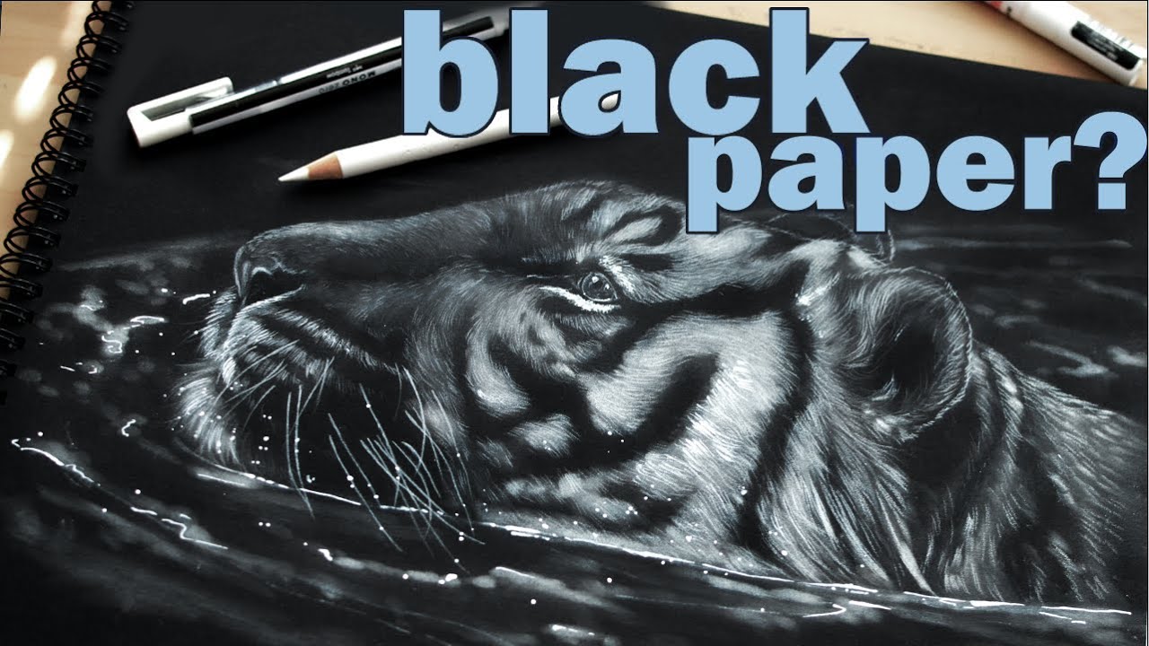 Drawing on BLACK PAPER!? *TIGER on Canson Mi-Teintes*! - YouTube