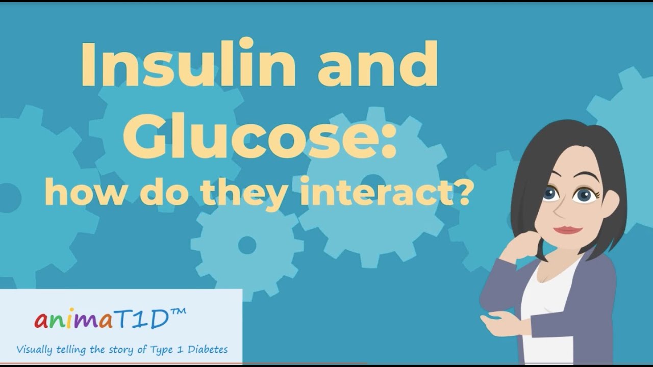 Diabetes basics: Insulin and glucose: how do they work? - YouTube