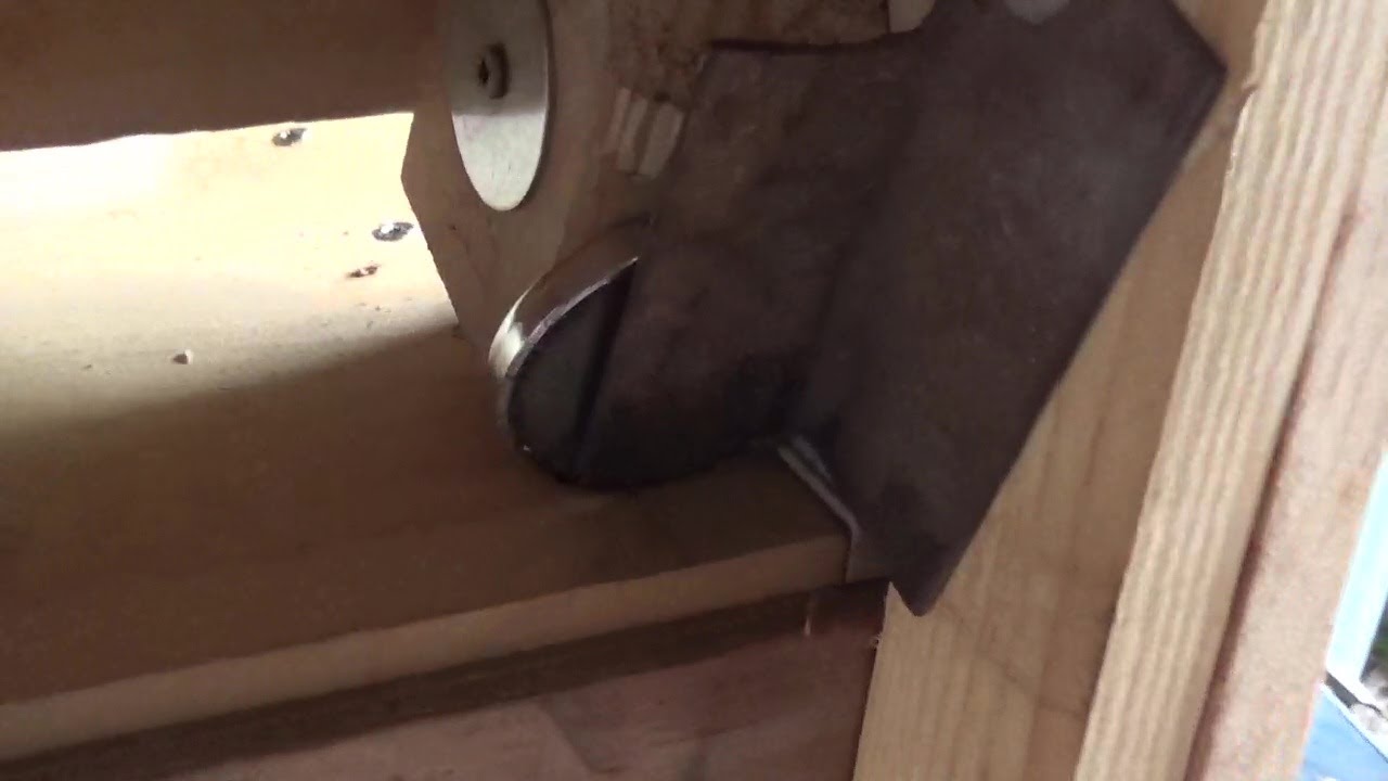 homemade raccoon live trap - YouTube