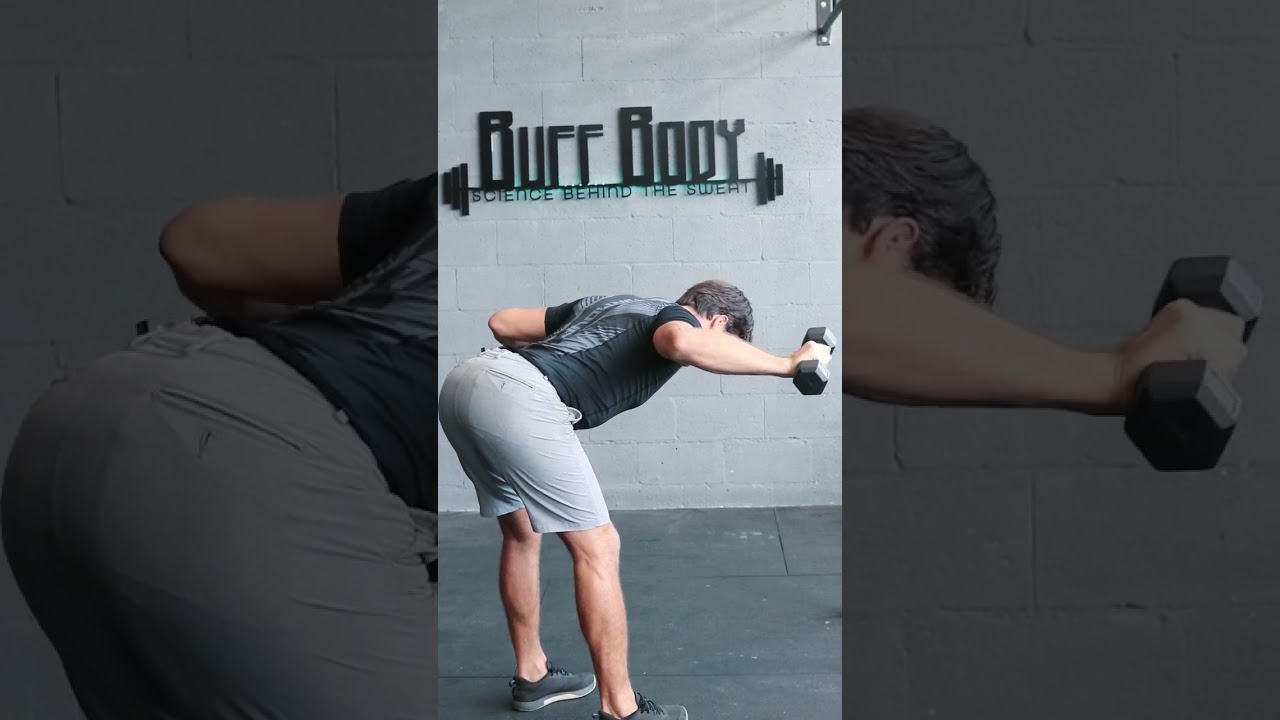 Bat Fly & Bat Plank (BAT WORKOUT SERIES) - YouTube
