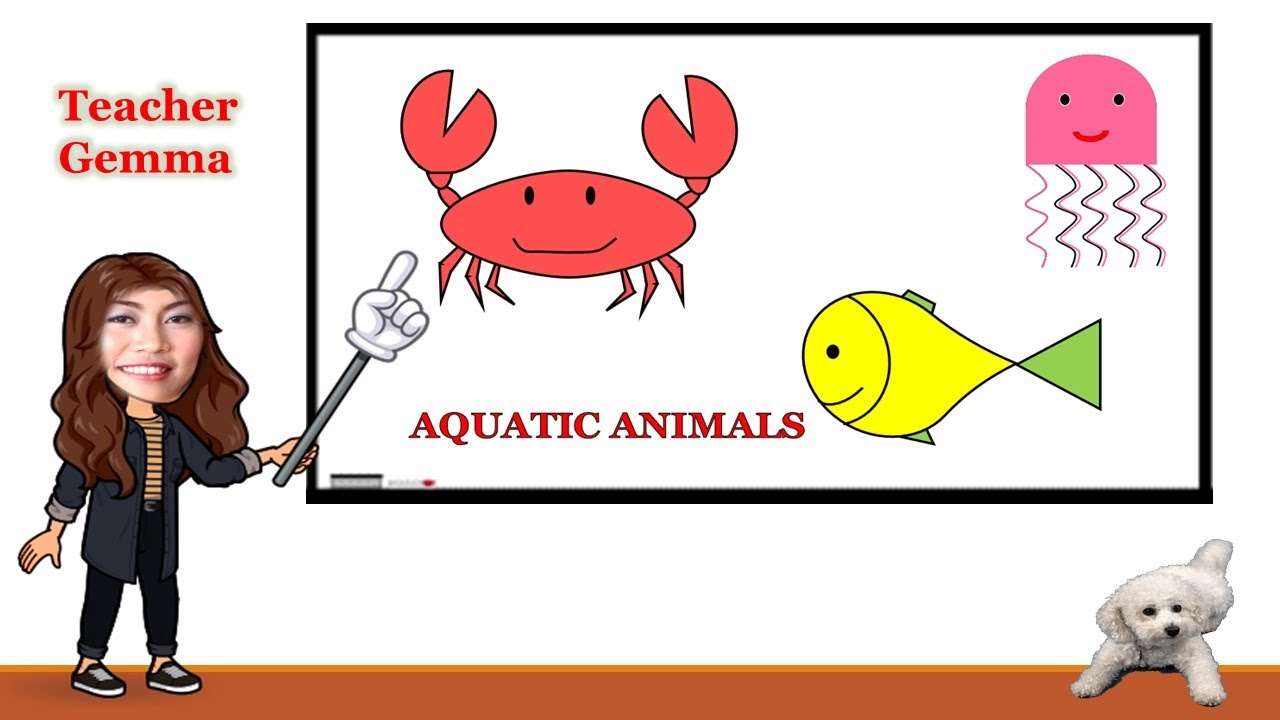Lets Draw aquatic animals using basic lines and shapes - YouTube