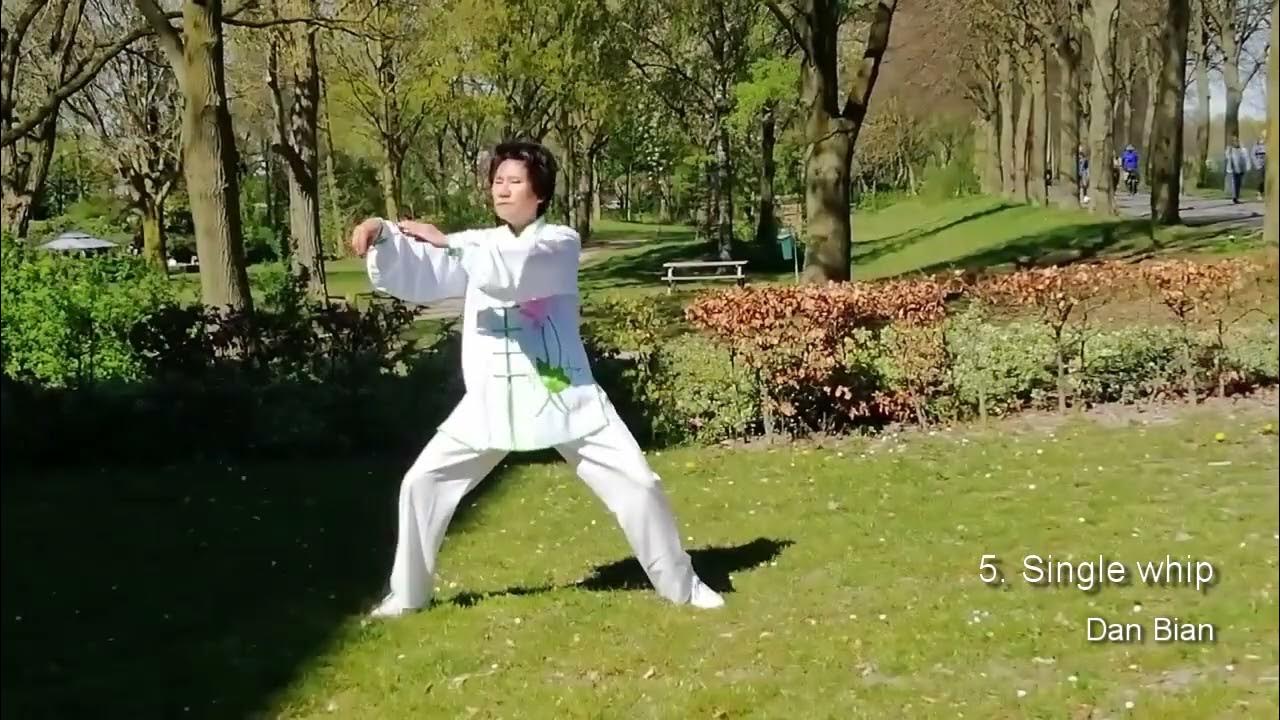 Chen Tai Chi 18 form - YouTube