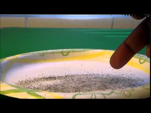 Salt and Pepper Separator - YouTube