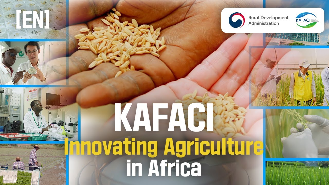 [KAFACI] Innovating Agriculture in Africa | ENGLISH [EN] - YouTube