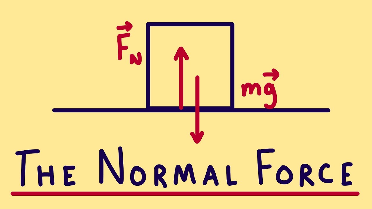 The Normal Force & Weight: Gravity’s Role in Contact Forces | Concepts ...