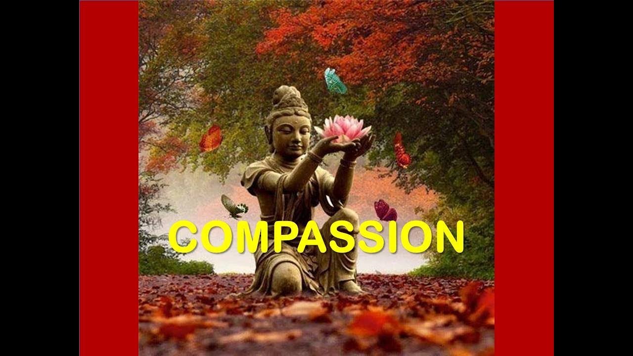 WHAT IS KARUNA (COMPASSION) - BHANTE PUNNAJI - YouTube