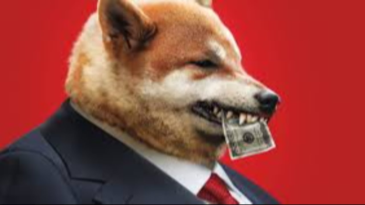 The Power of DOGE - YouTube