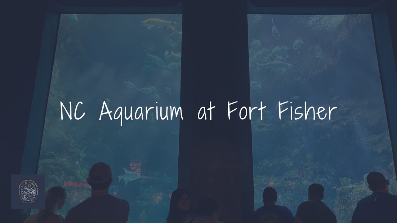 North Carolina Aquarium at Fort Fisher - Kure Beach, NC - YouTube