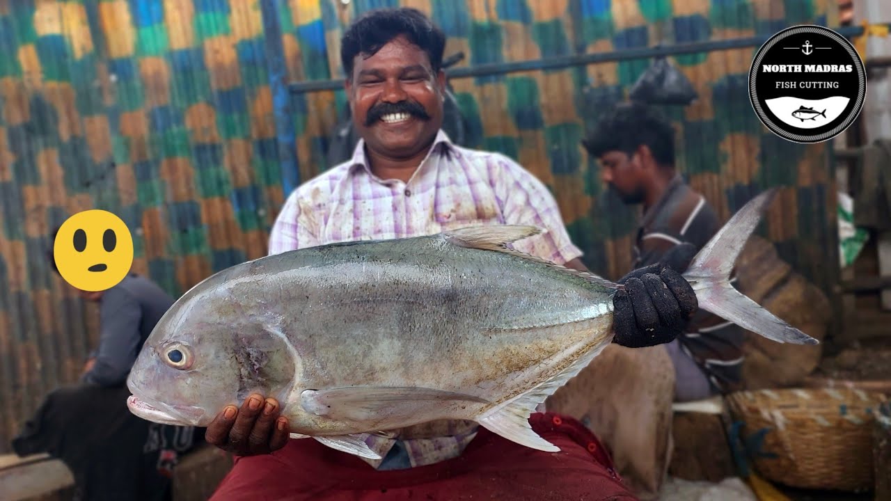 🤯WHITE PARRAI FISH|KASIMEDU CHEETA DURAI |FISH CUTTING SKILLS VIDEO # ...