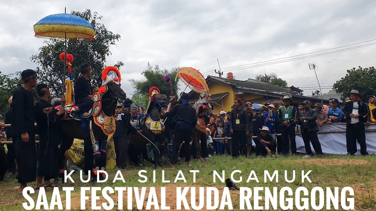 Kuda Renggong ngamuk saat festival - YouTube