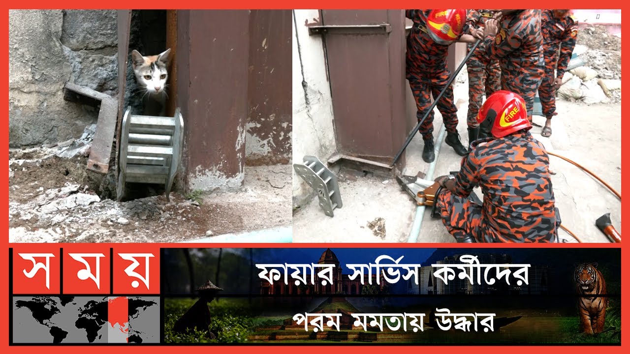 আটকে পড়া বিড়াল উদ্ধারে সচিবালয়ে তোলপাড়! | Cat Rescue | Bangladesh Secretariat | Dhaka ...