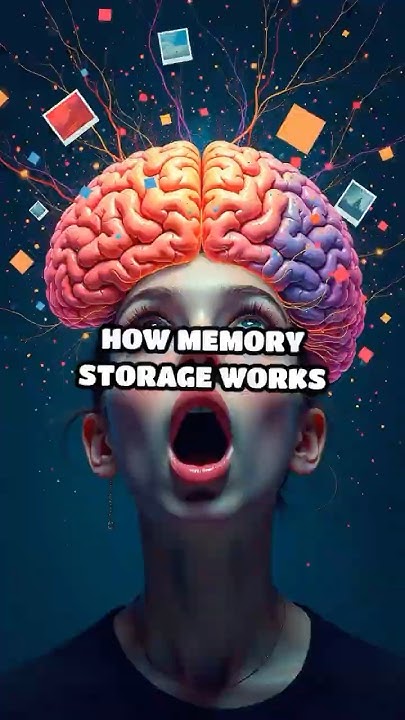 How memory storage works? - YouTube