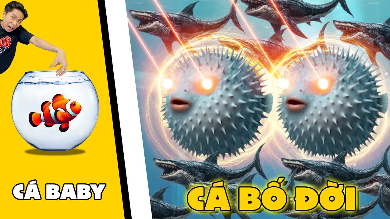 PobbRose CÁ BABY vs CÁ BỐ ĐỜI !!! (PobbRose Thánh nuôi cá) | evo fish ...