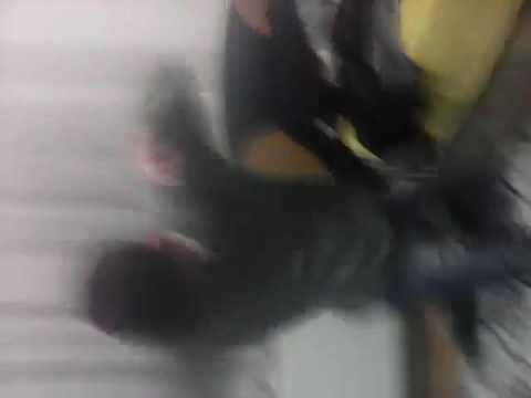 Kuzen erik dalı böyle oynanir konyaaa