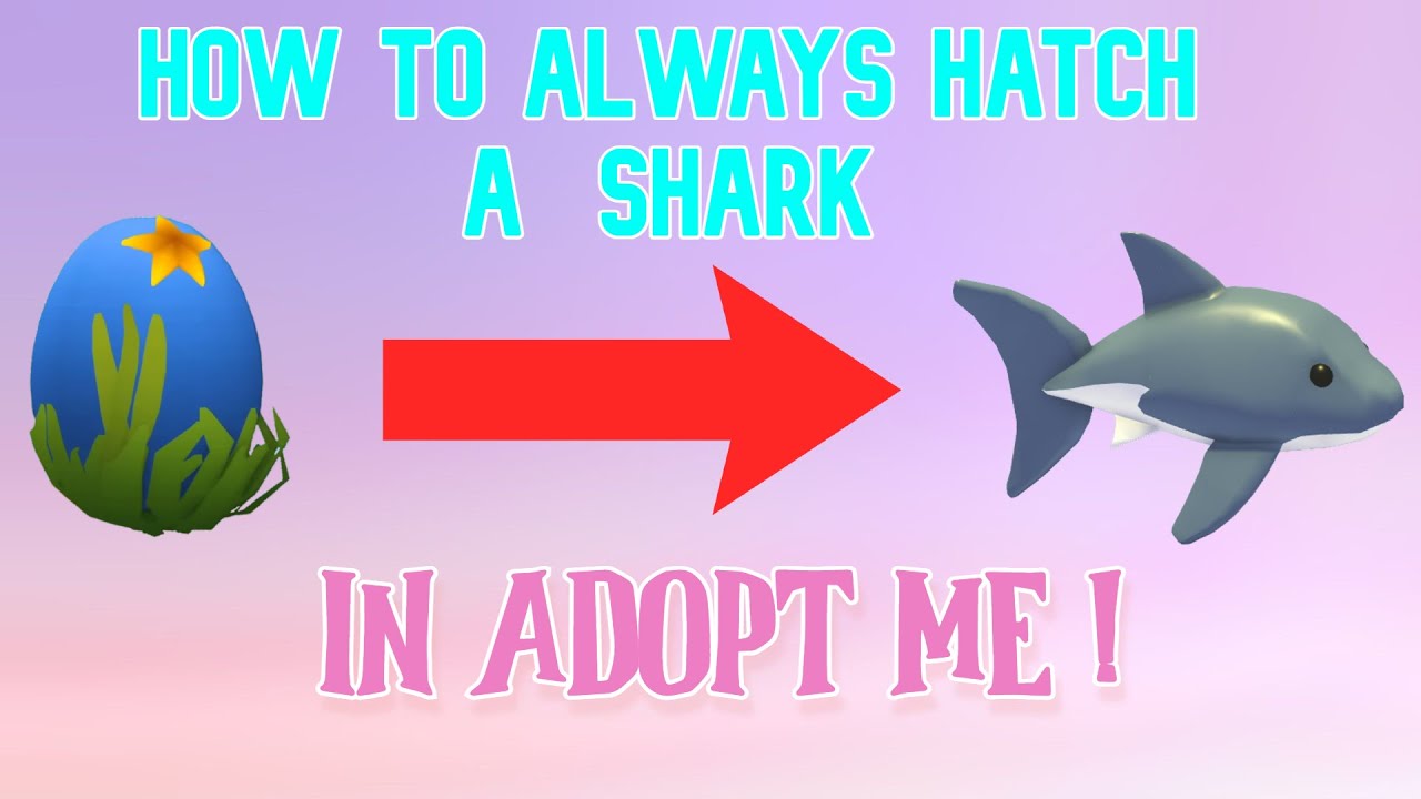 HOW TO ALWAYS HATCH A LEGENDARY SHARK FROM A OCEAN EGG!!!!!!!!🦈 | IN ...