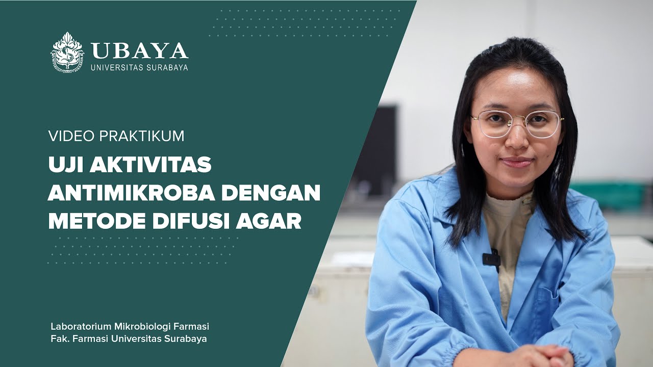 UJI AKTIVITAS ANTIMIKROBA DENGAN METODE DIFUSI AGAR - YouTube