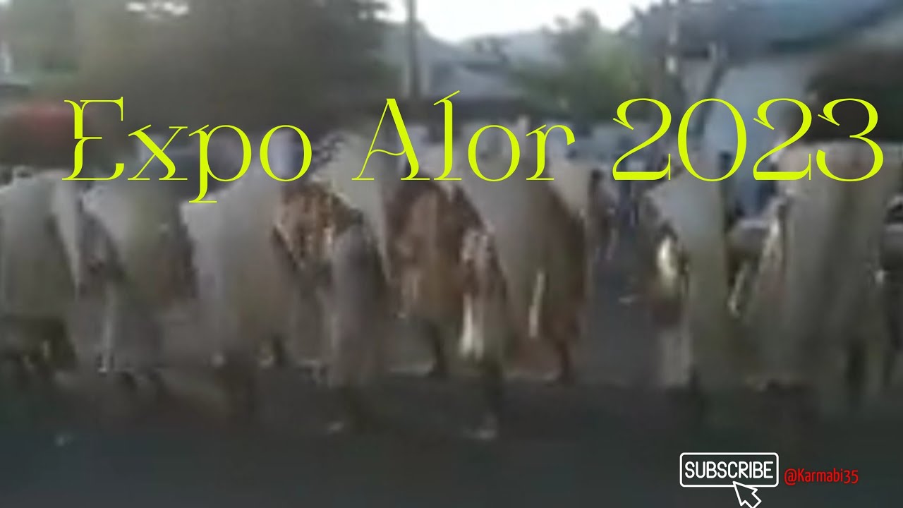 Expo Alor 2023//Kecamatan Mataru Hadir dengan Kekuatan Penuh. - YouTube