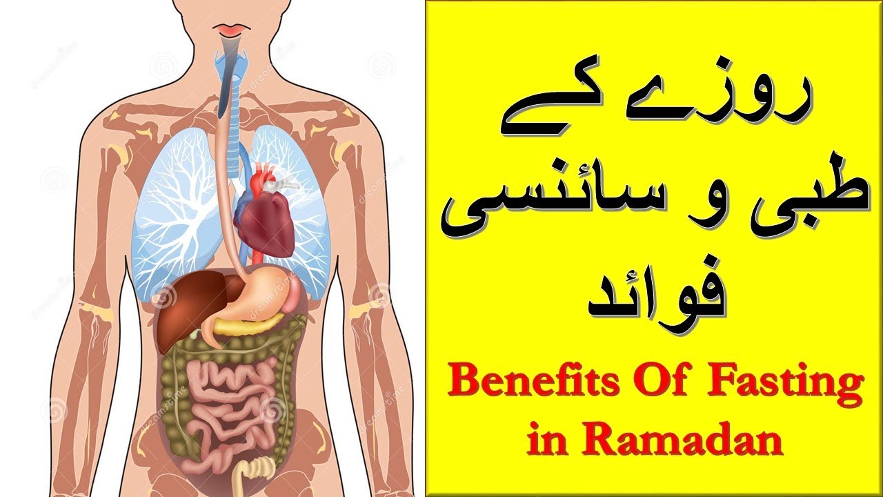 Benefits Of Fasting in Ramadan according to Science & Medically /روزے ...