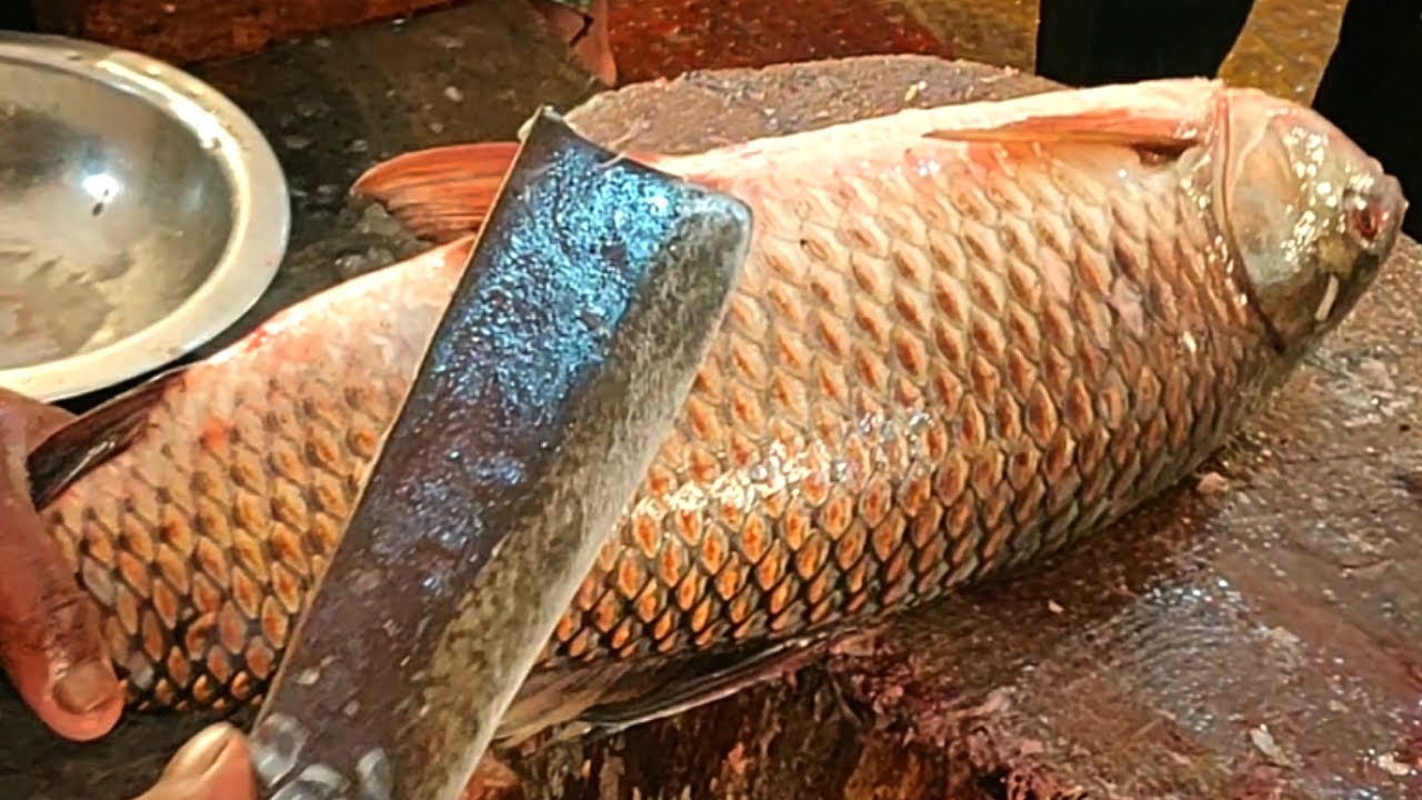Amazing Cutting Skills - Big Rohu Fish Skinning & Chopping By Expert ...