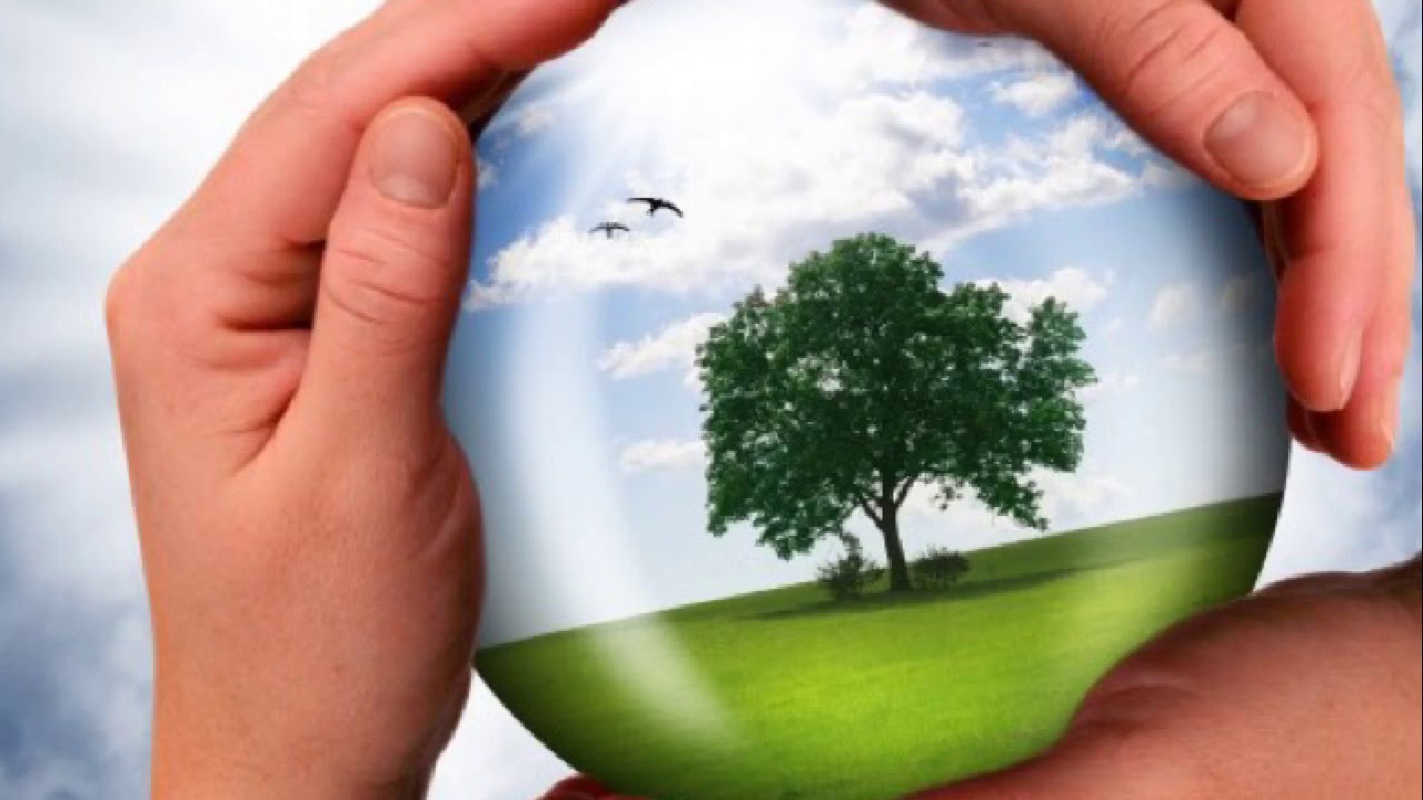 Life supports you. Meditation by Bruce Tift, read by Dr.Syed Amiry ...