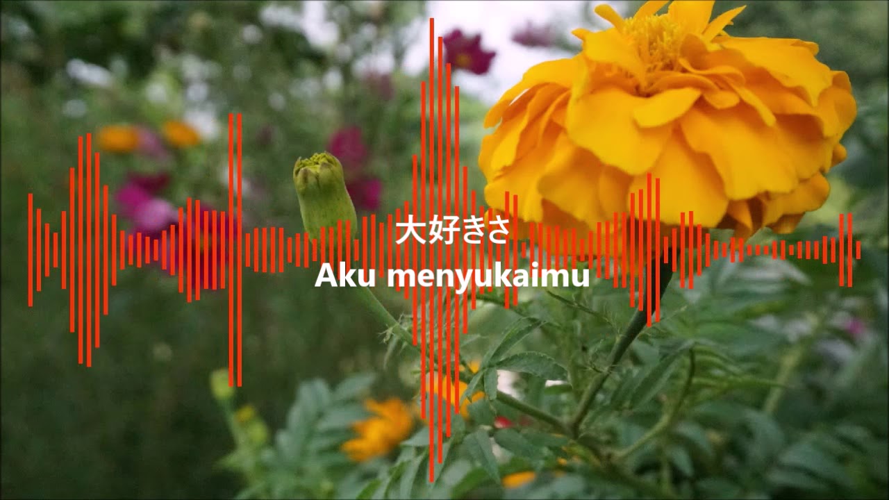 Aimyon - Marigold/あいみょん-マリーゴールド[Cover] - YouTube