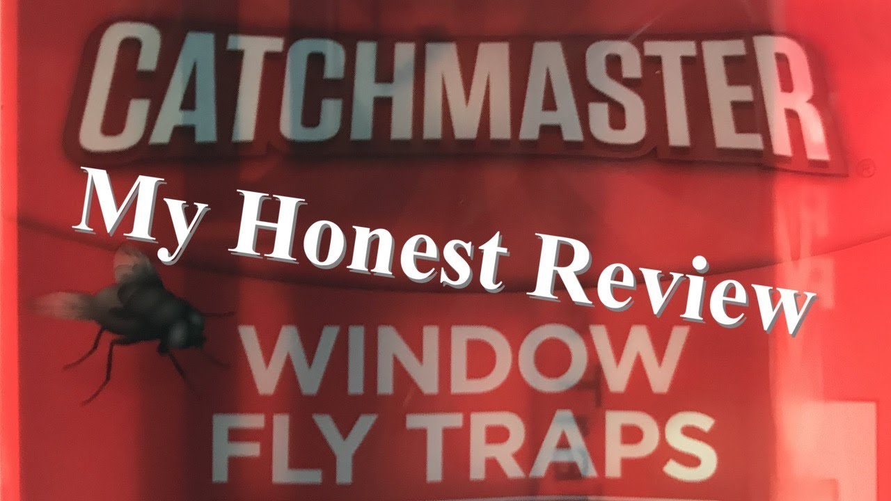 Review: catchmaster window fly traps - YouTube