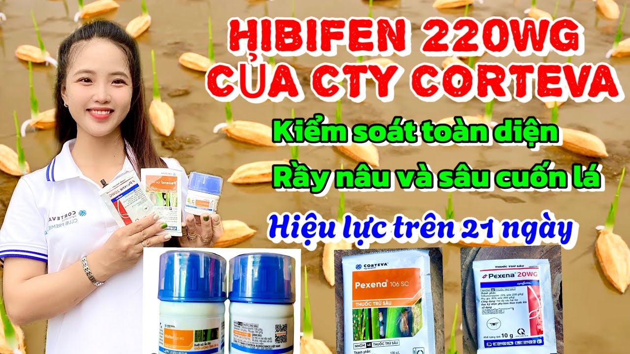KIỂM SOÁT RẦY NÂU VÀ SÂU CUỐN LÁ CÙNG HIBIFEN 220WG CỦA CTY CORTEVA ...