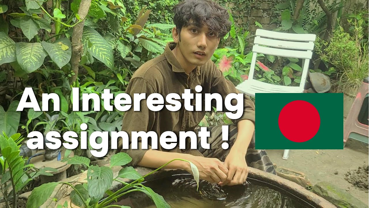 Are You a University Student ? | Green University | Neel Guy 🇧🇩 - YouTube