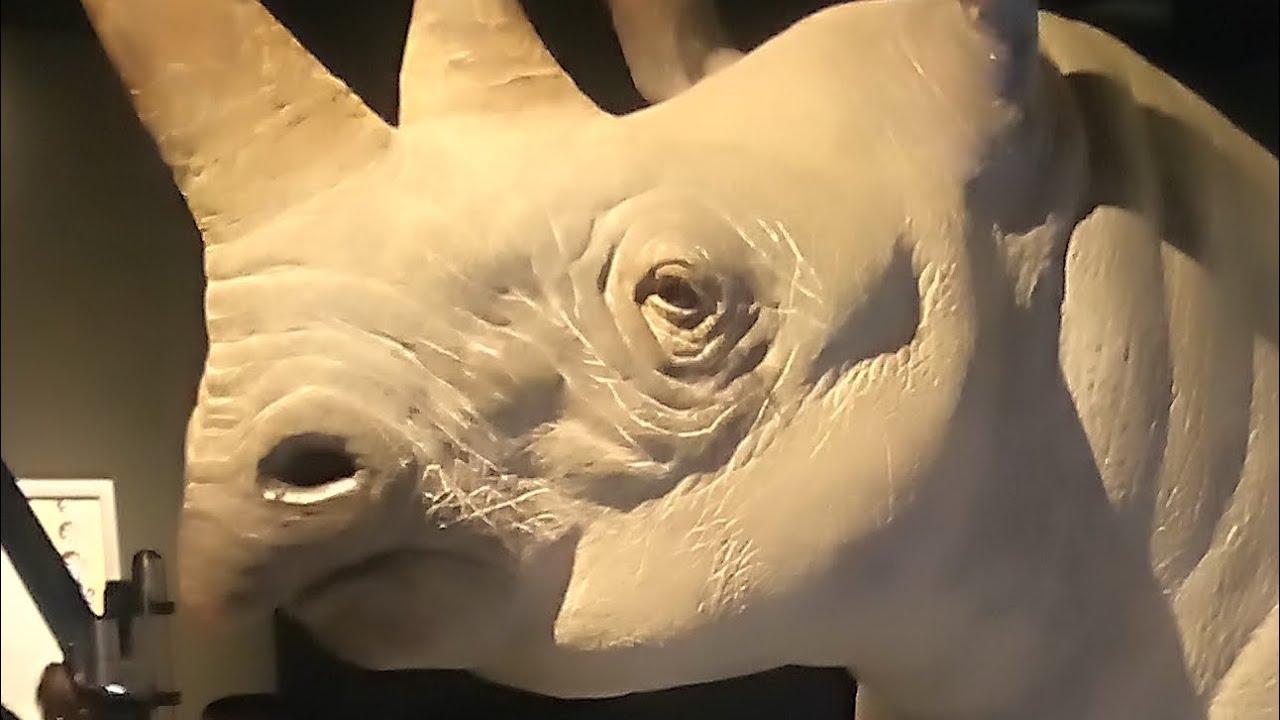 AI Generated Puppet (AI PUPPET) #5 - YouTube