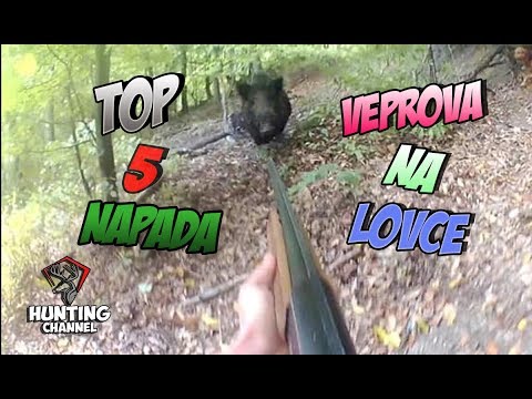 TOP 5 NAPADA VEPRA NA LOVCA KOMPILACIJA!!! - YouTube