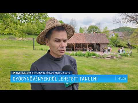 Gyógynövényekről lehetett tanulni – Erdély TV