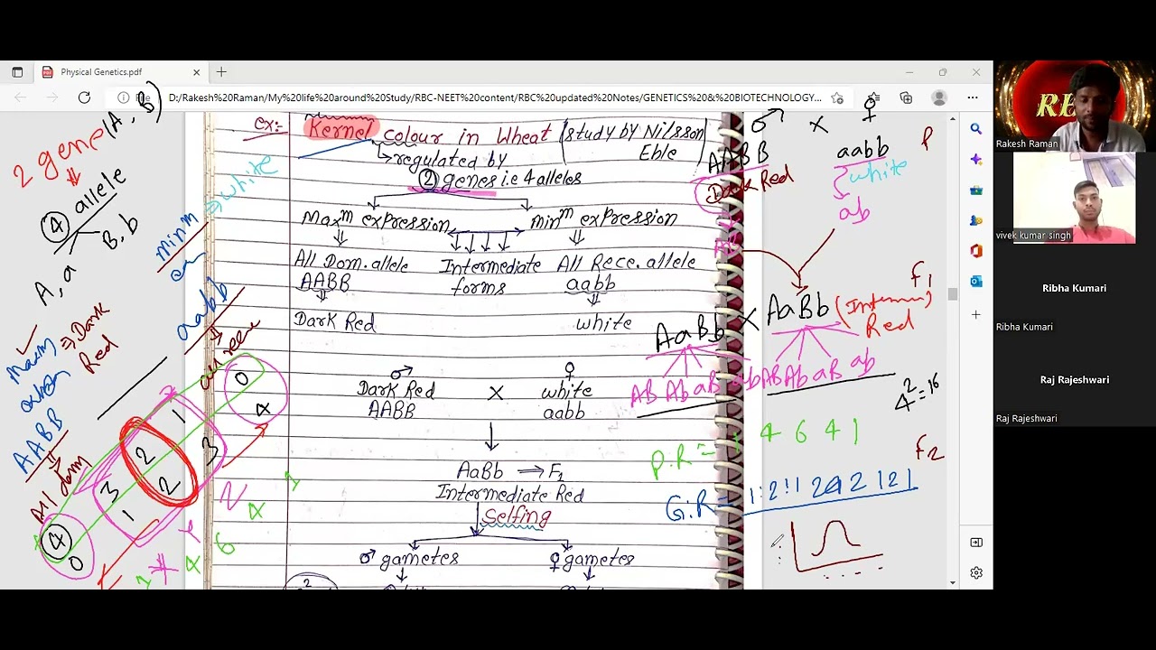 19 May2022 L-1 [ Polygenic Inheritance = Kernel Color in Wheat , Human ...