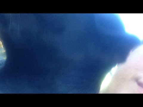 Wtf is on this house? - YouTube