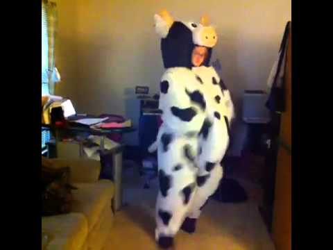 Crazy cow costume dance ! - Best Of Vines - YouTube