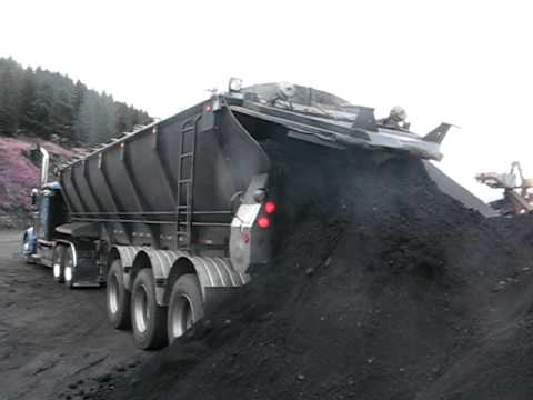 Live Bottom - Coal - YouTube