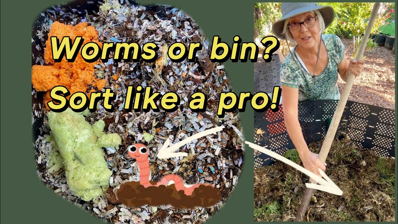 Worm Compost vs. Compost Bin | How to Sort Food Scraps - YouTube
