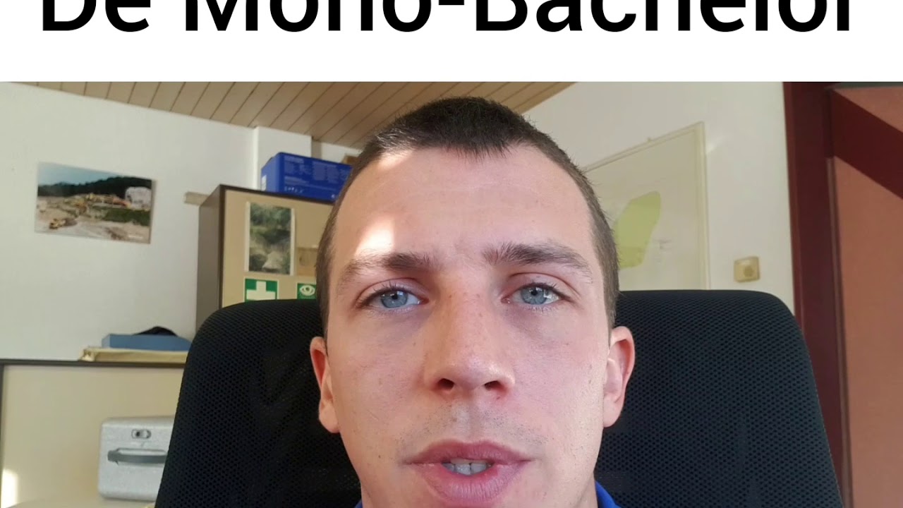 Der Bachelor 2017 - Warum redisch du so komisch? - YouTube