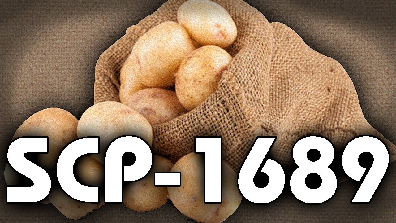 ARCHIVOS SCP: 1689 - YouTube