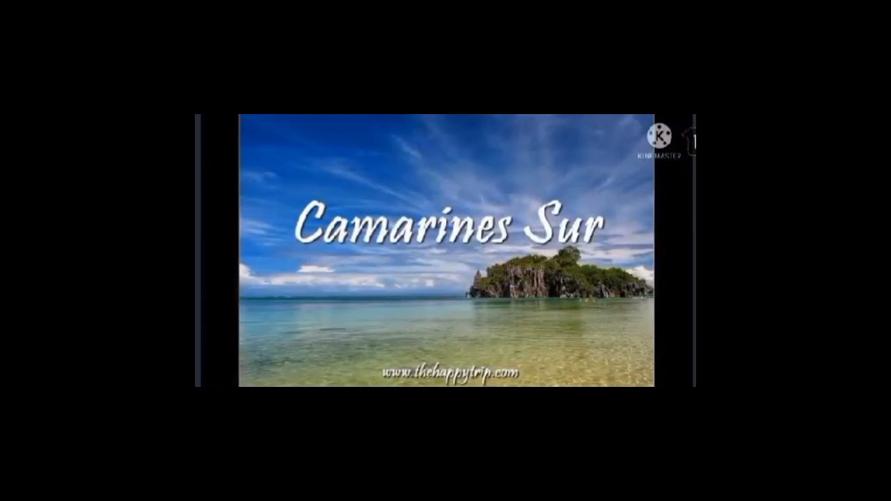 REGION 5- BICOL REGION FESTIVAL & DELICACIES. - YouTube