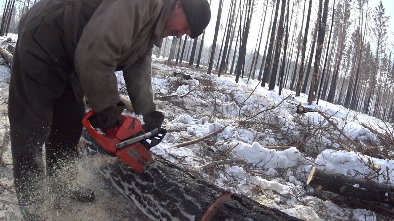 Husqvarna 372XP - 18'' - YouTube