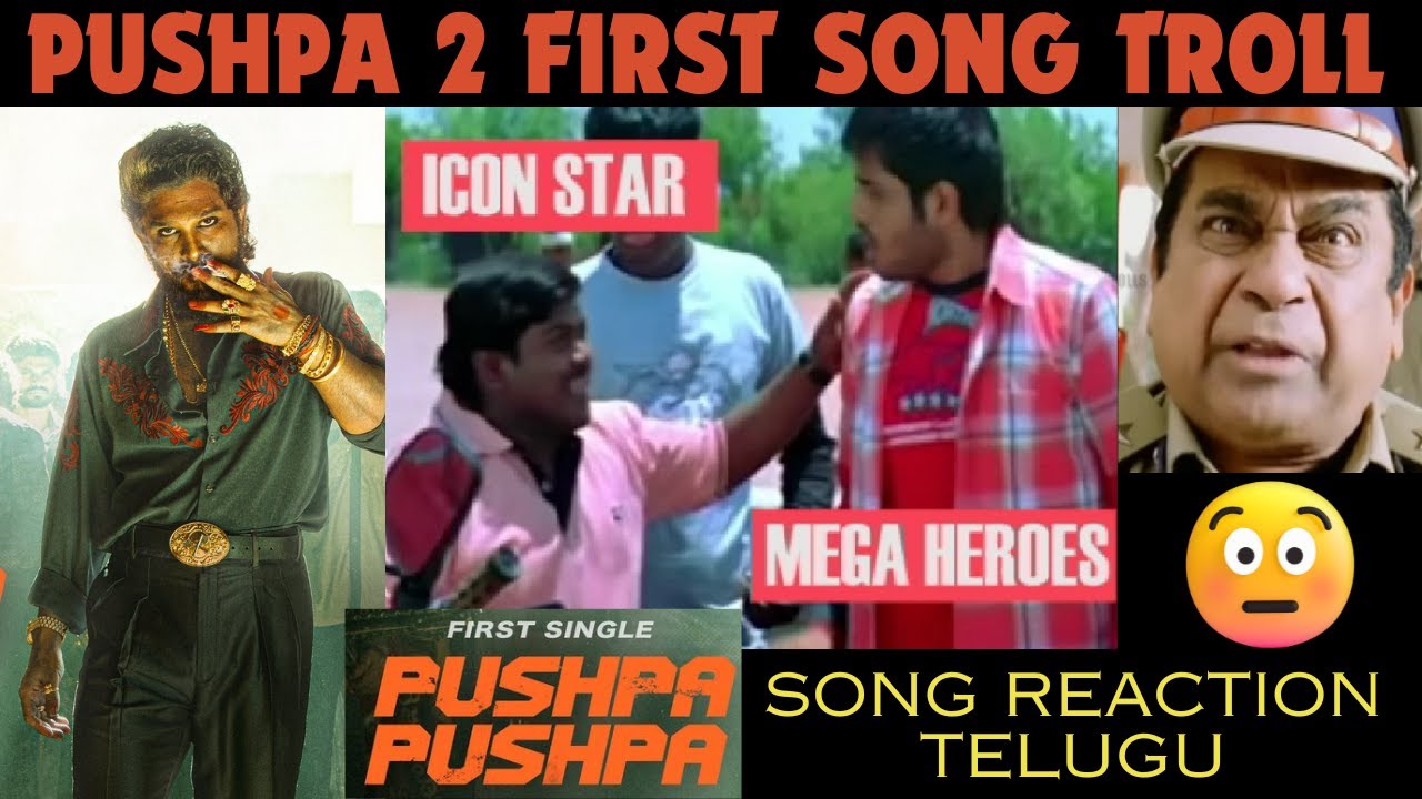 pushpa 2 first song troll reaction | pushpa 2 first single reaction ...