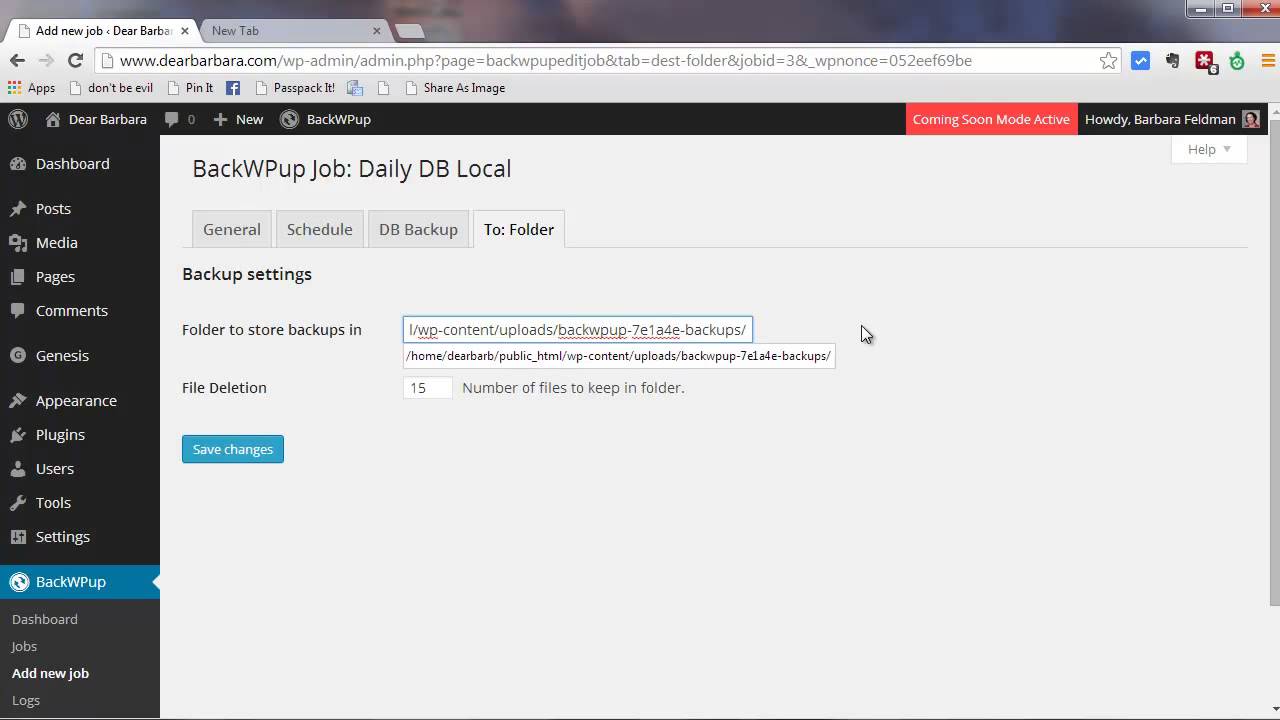 How to Backup WordPress with BackWPup - YouTube