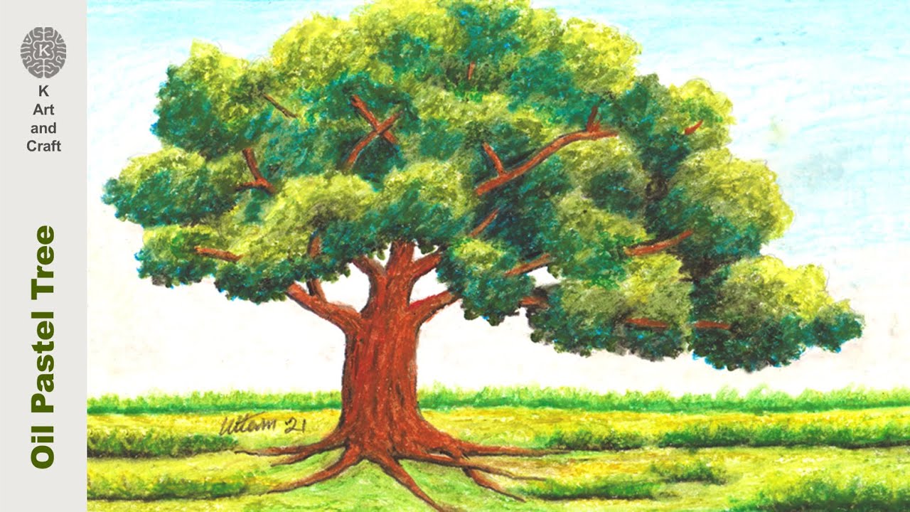 How to draw a tree by oil pastel | step by step tree drawing for ...