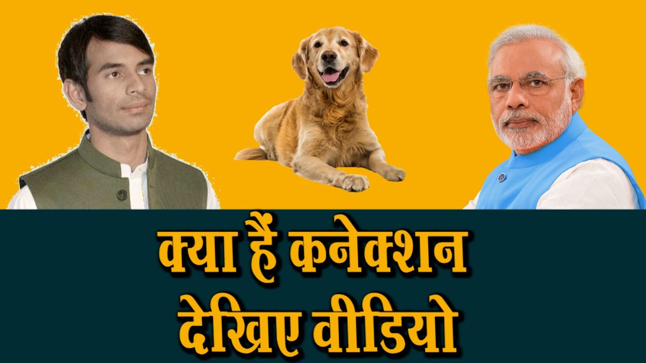 Tejpratap,kutta,aur Modi, क्या हैं connection, देखिए video ! news nasha ...