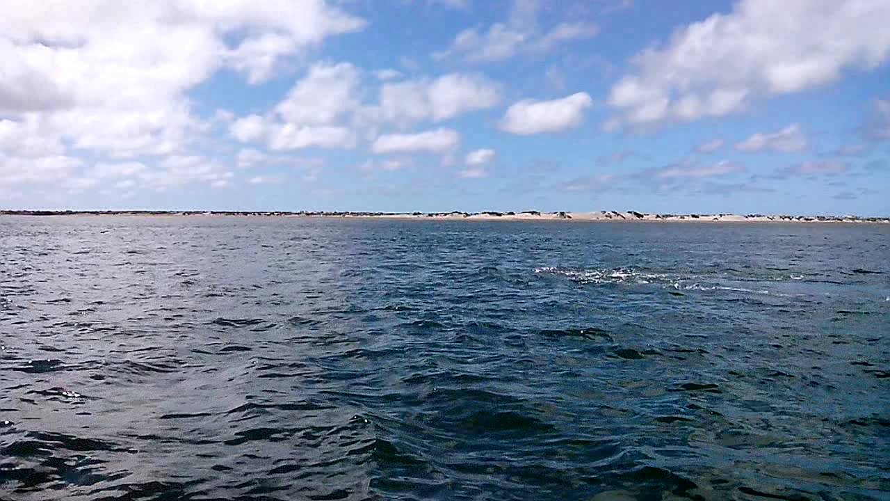 puerto adolfo lopez mateos, baja california, mexico: balena - YouTube